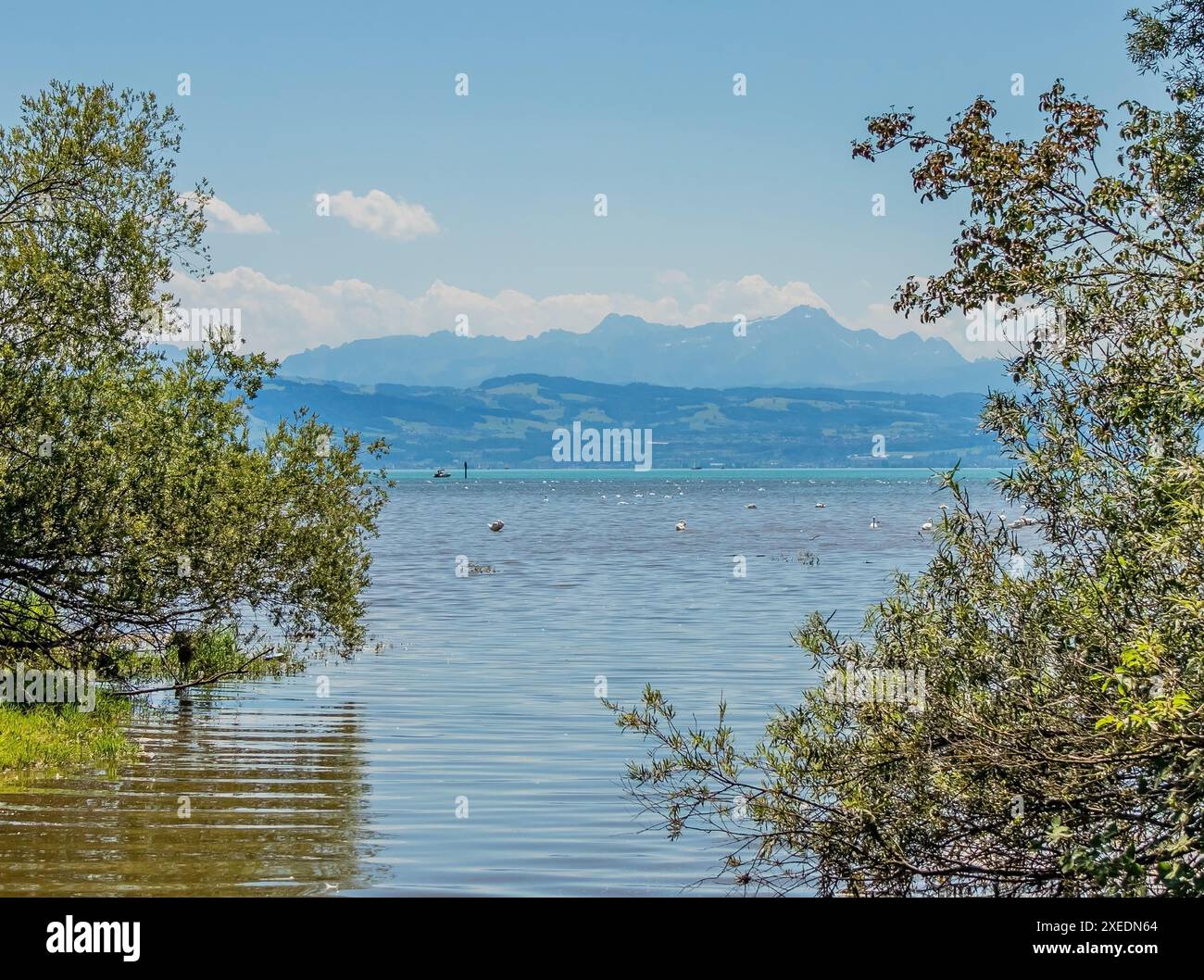 Alpine view in Friedrichshafen to Altmann and SÃ¤ntis Stock Photo - Alamy
