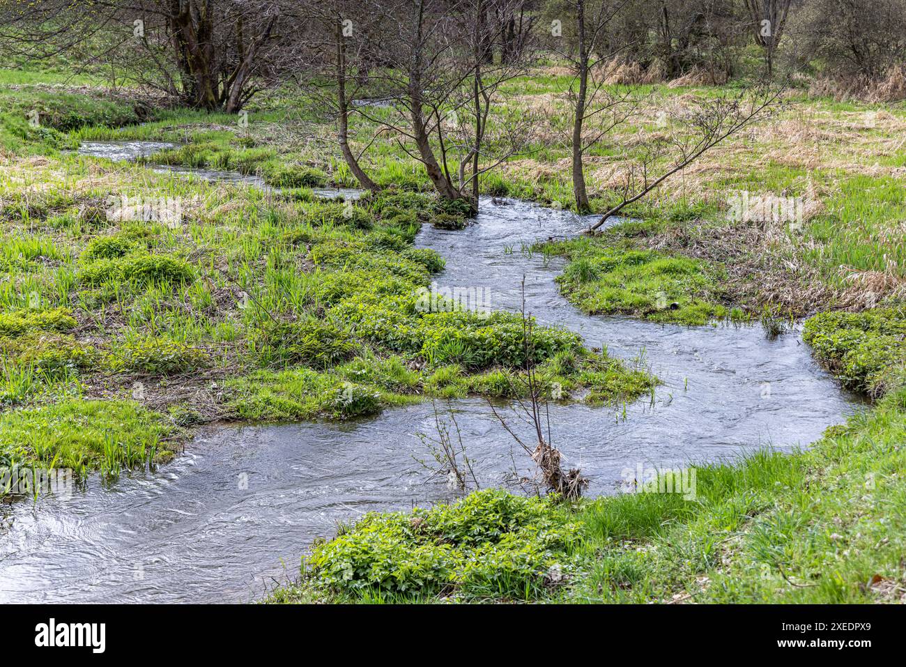Nata rlicher flussverlauf hi-res stock photography and images - Alamy