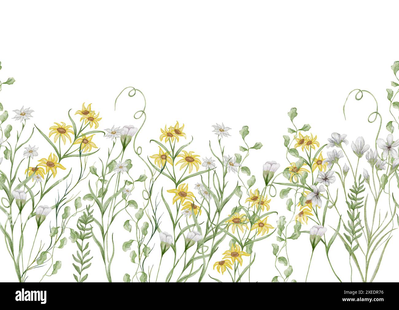 Watercolor wildflowers seamless border. Botanical frame of wild flowers ...