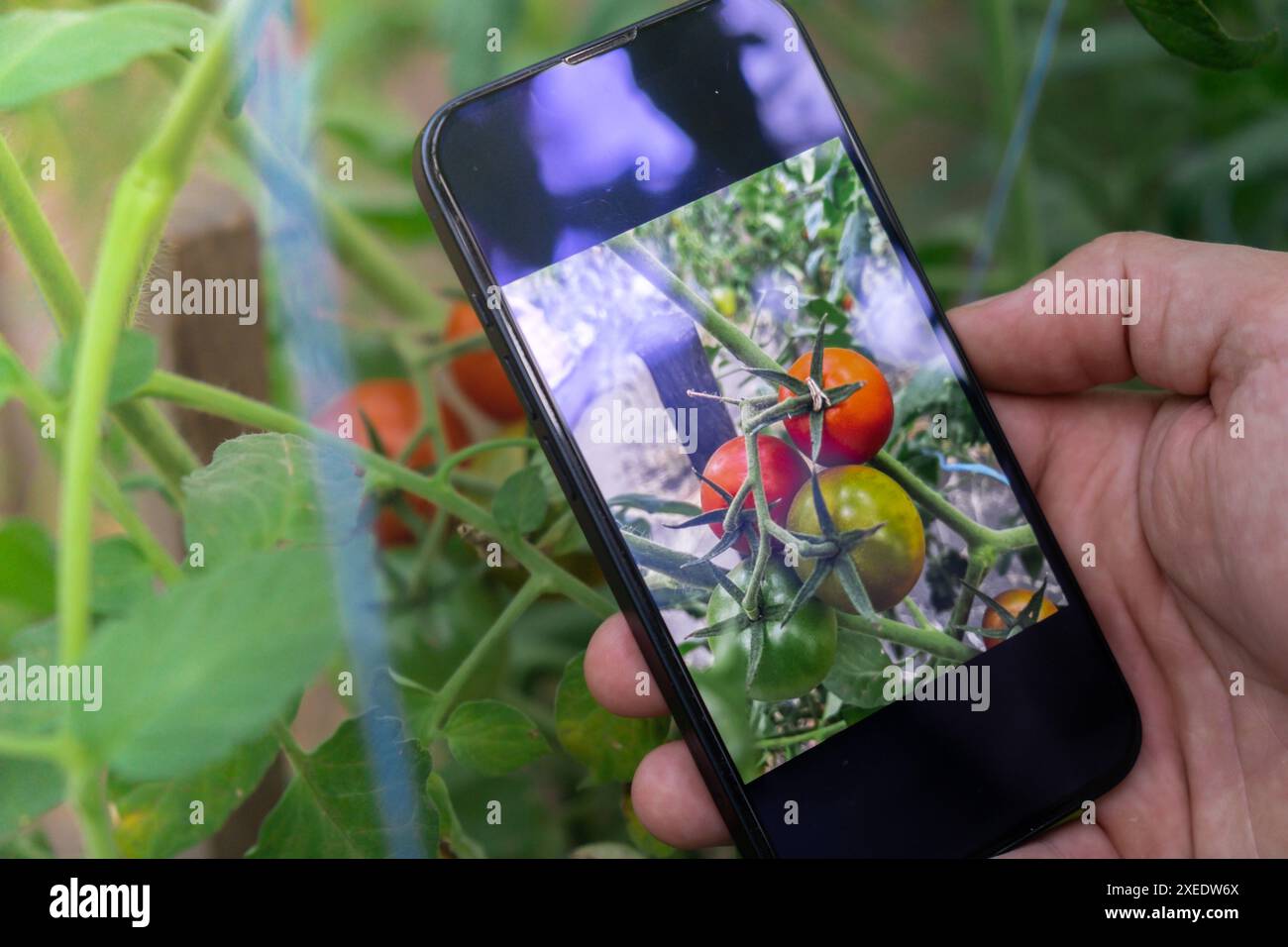 Agribots hi-res stock photography and images - Alamy