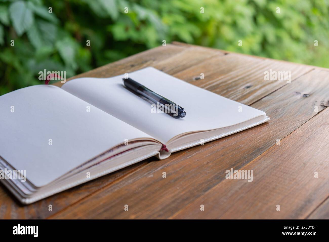 Author wellbeing hi-res stock photography and images - Alamy