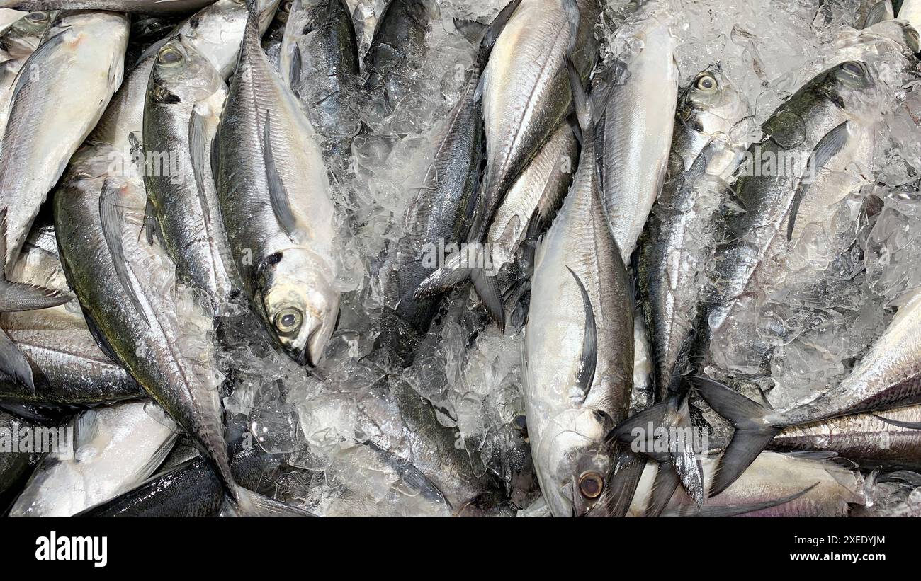 Top view of fresh fish covered with ice display in wet market . Asian ...