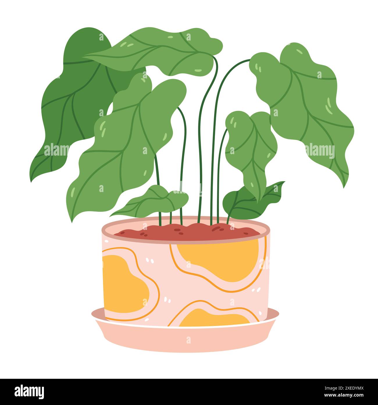 Vector illustration of a home plant in a pot with an ornament. Cartoon ...