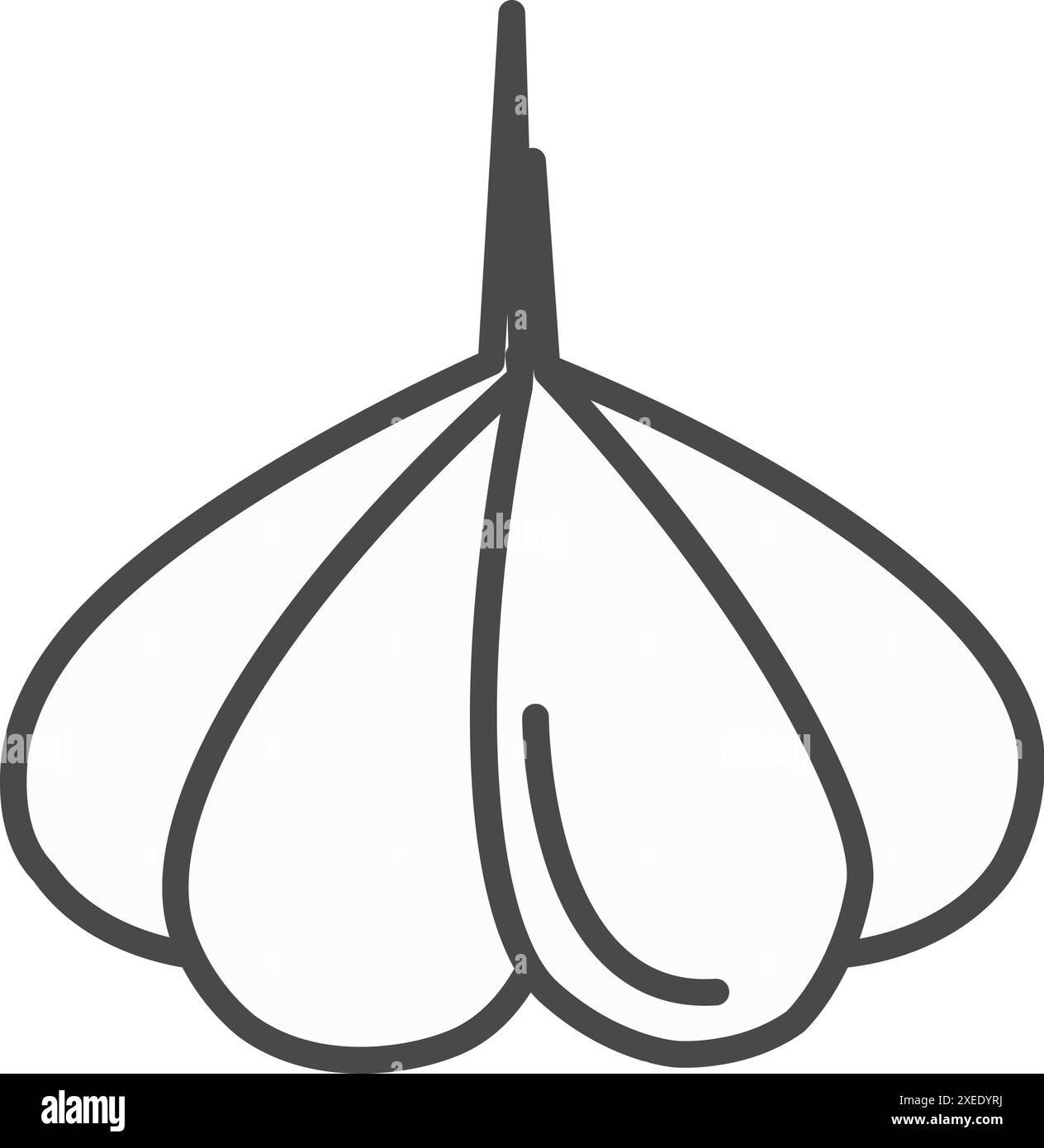 Pungent vegetable Black and White Stock Photos & Images - Alamy