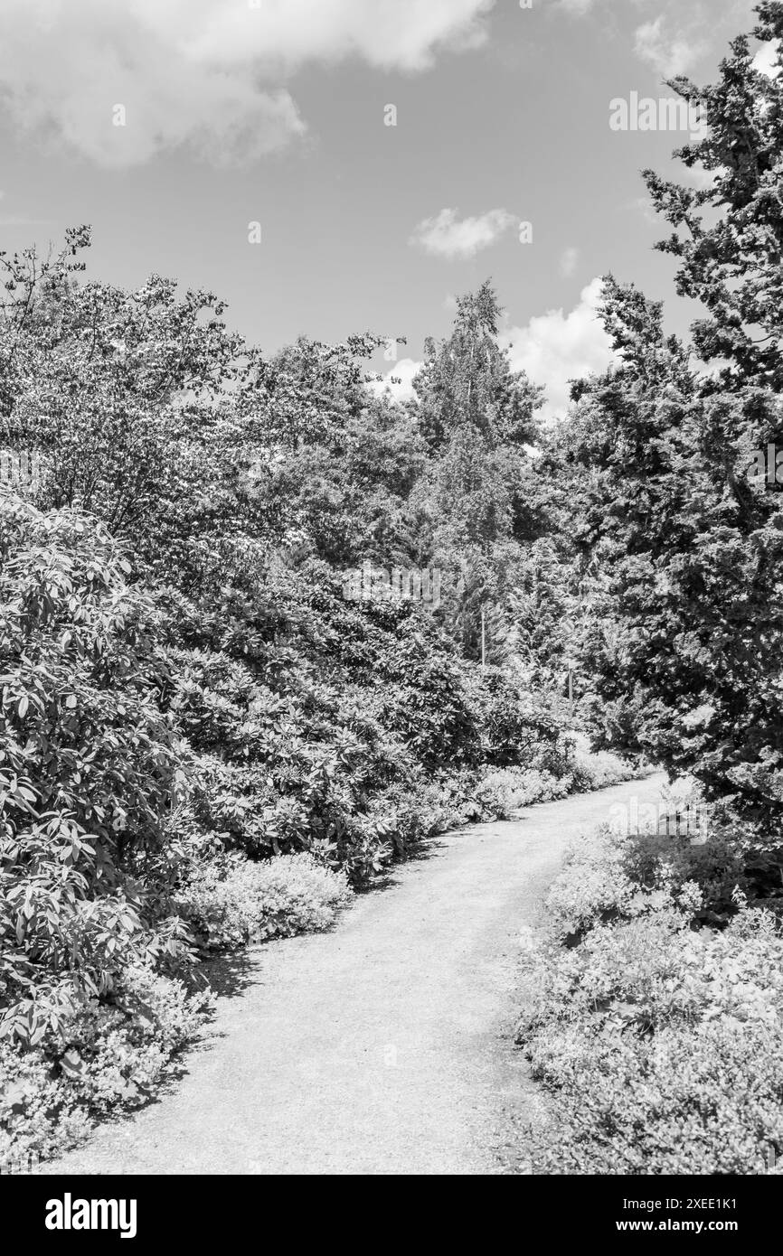 summer time in a german park Stock Photo - Alamy