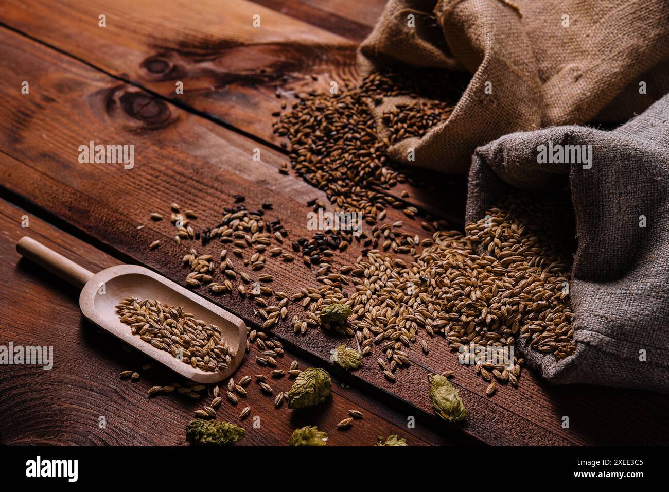 Fresh green wheat spikes hi-res stock photography and images - Alamy