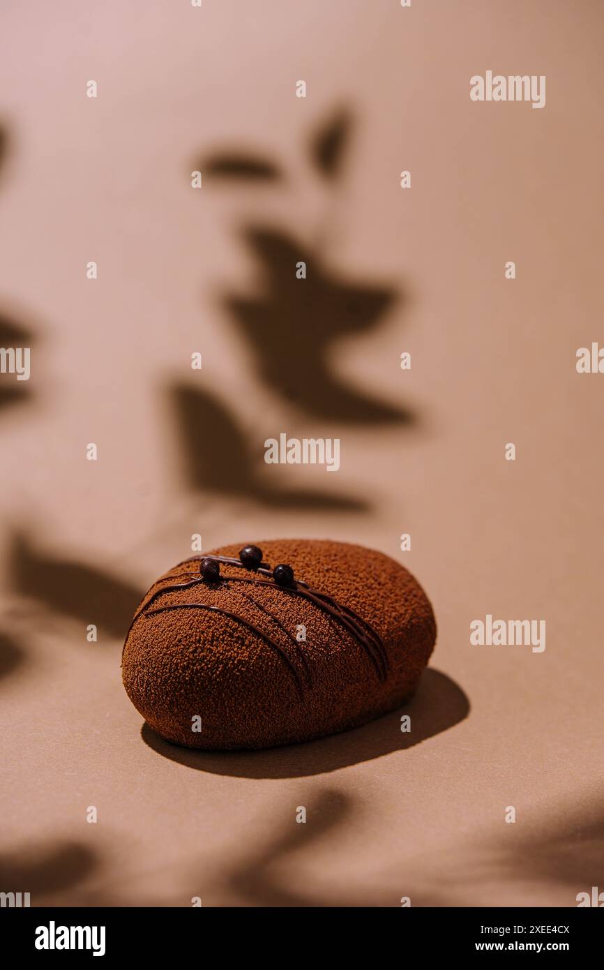 Contemporary Chocolate Dome Mousse Cake covered with chocolate velvet ...