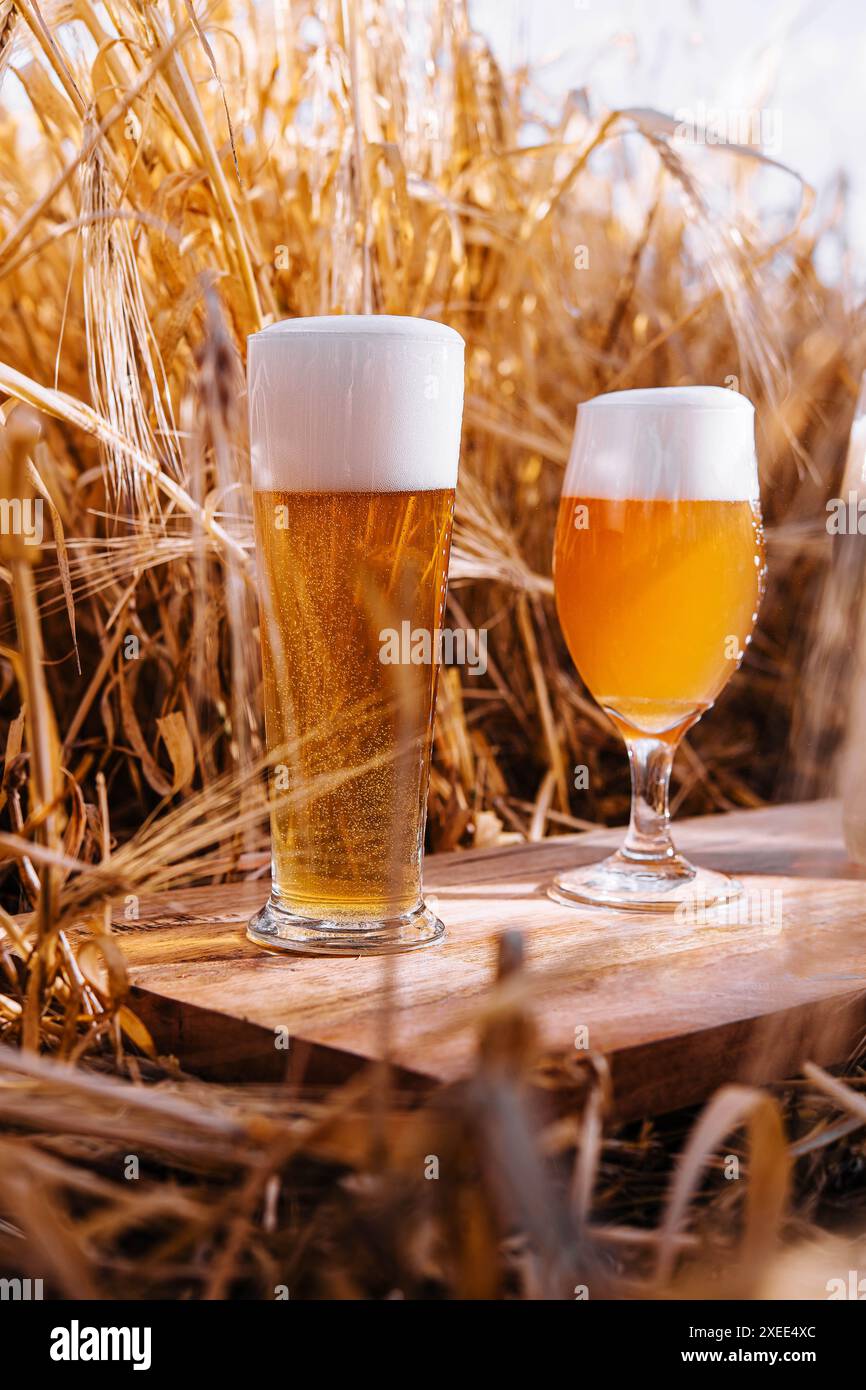 Beer pitcher in wheat hi-res stock photography and images - Alamy