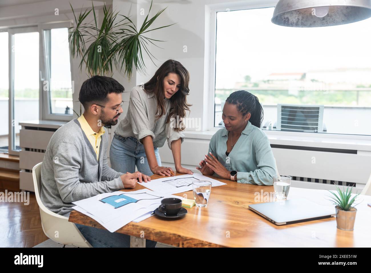 Employees of a small private company, co-owners, nature lovers, work on ...