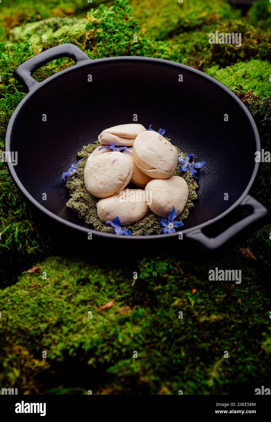 Vanilla chocolate macaroons close hi-res stock photography and images ...