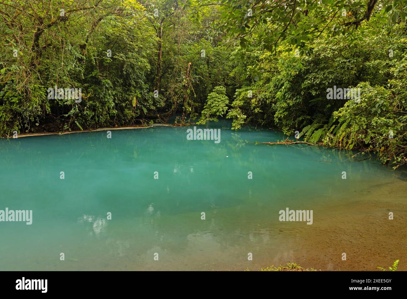 blue lagoon of the Rio Celeste in the Tenorio National Park in Costa ...