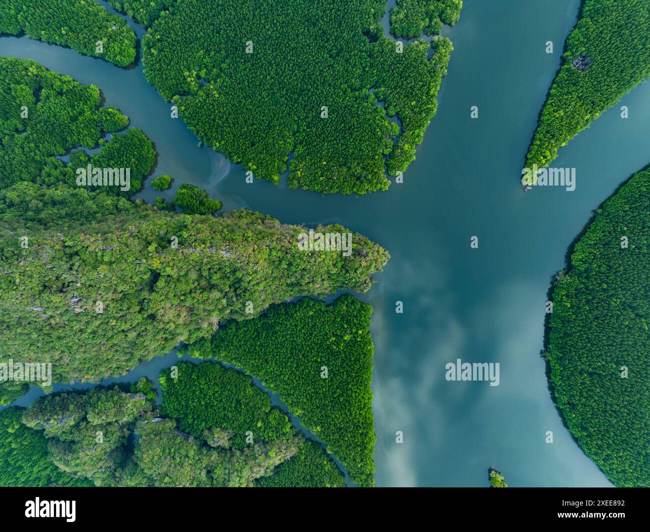 Aerial top down shot flowing hi-res stock photography and images - Alamy