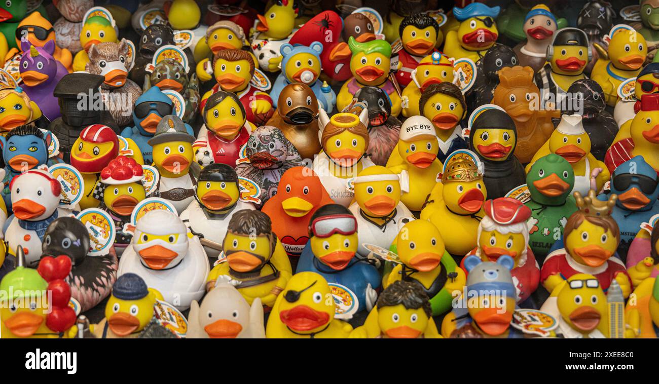Rubber ducks are popular collectibles, often featuring a variety of ...