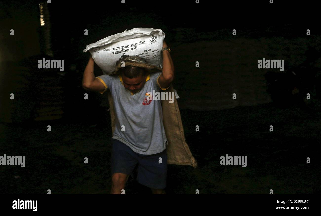 June 27, 2024: A worker carries a sack of chemical fertilizer for ...
