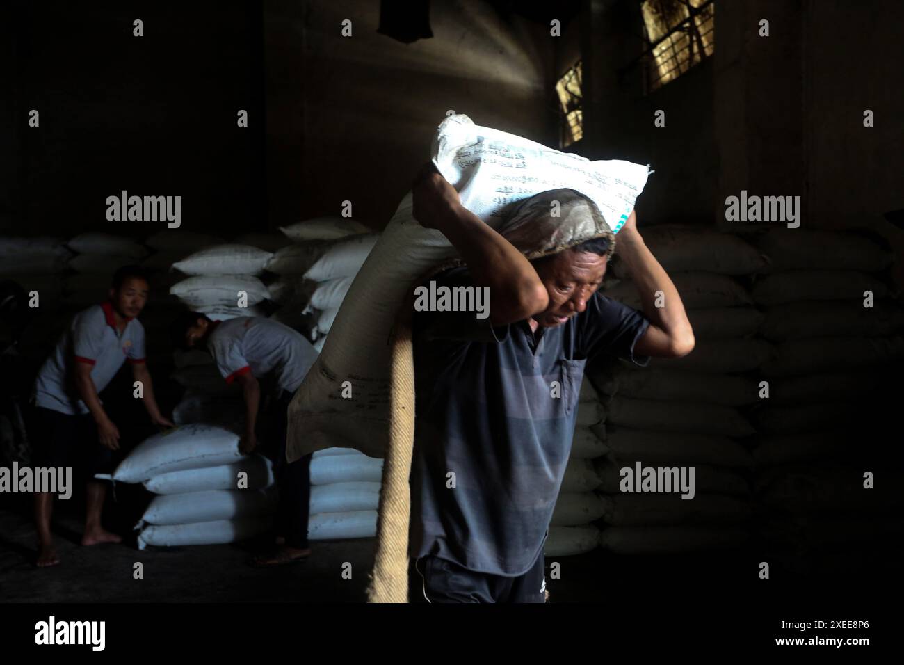 June 27, 2024: A worker carries a sack of chemical fertilizer for ...
