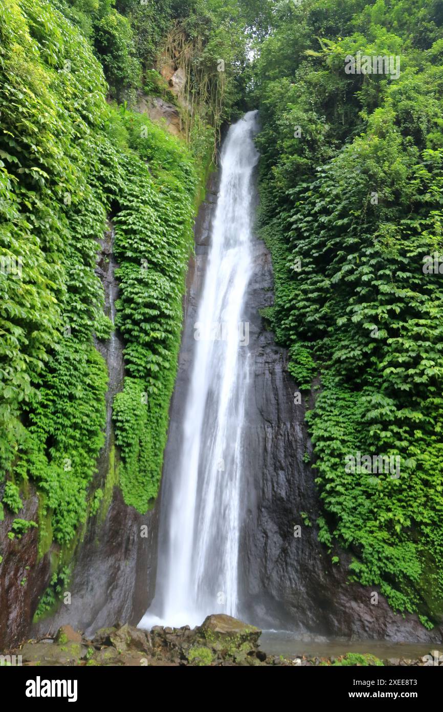 Melanting Waterfall in Munduk, Bali in Indonesia Stock Photo - Alamy