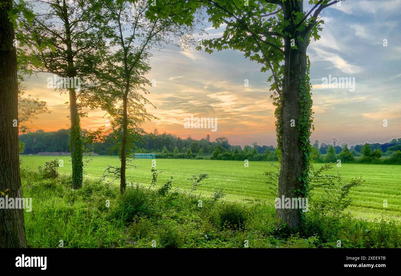 Pastoral sunset hi-res stock photography and images - Alamy
