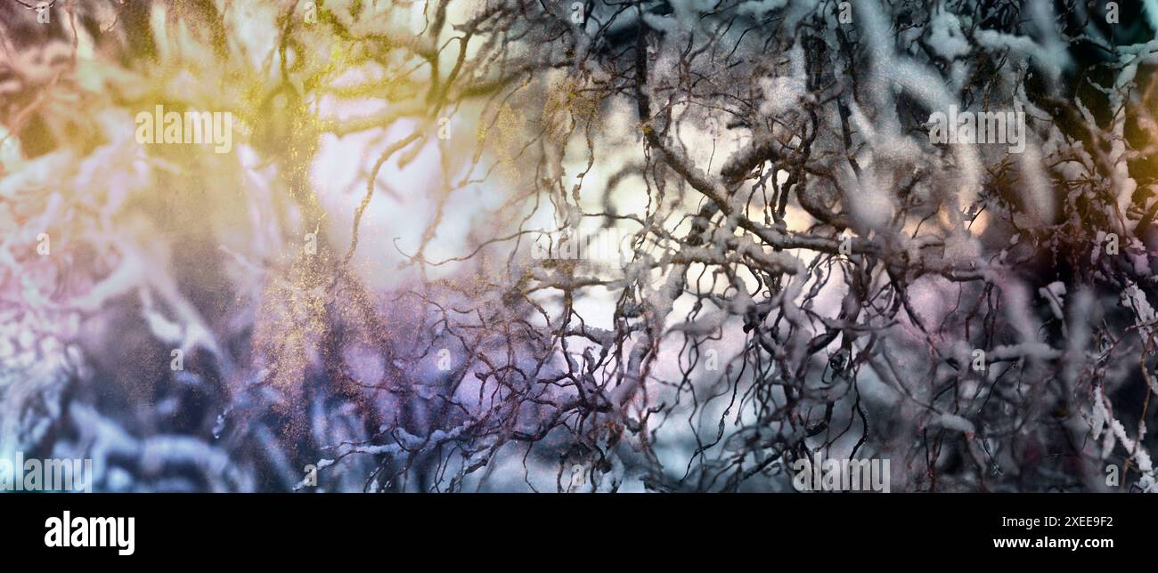 Winter morning garden tree, mourning card Stock Photo - Alamy