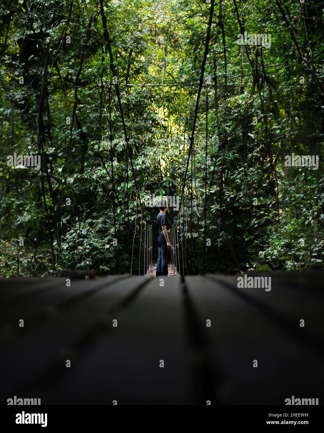 Stunning view of a girl walking in a beautiful rainforest. Khao Sok ...