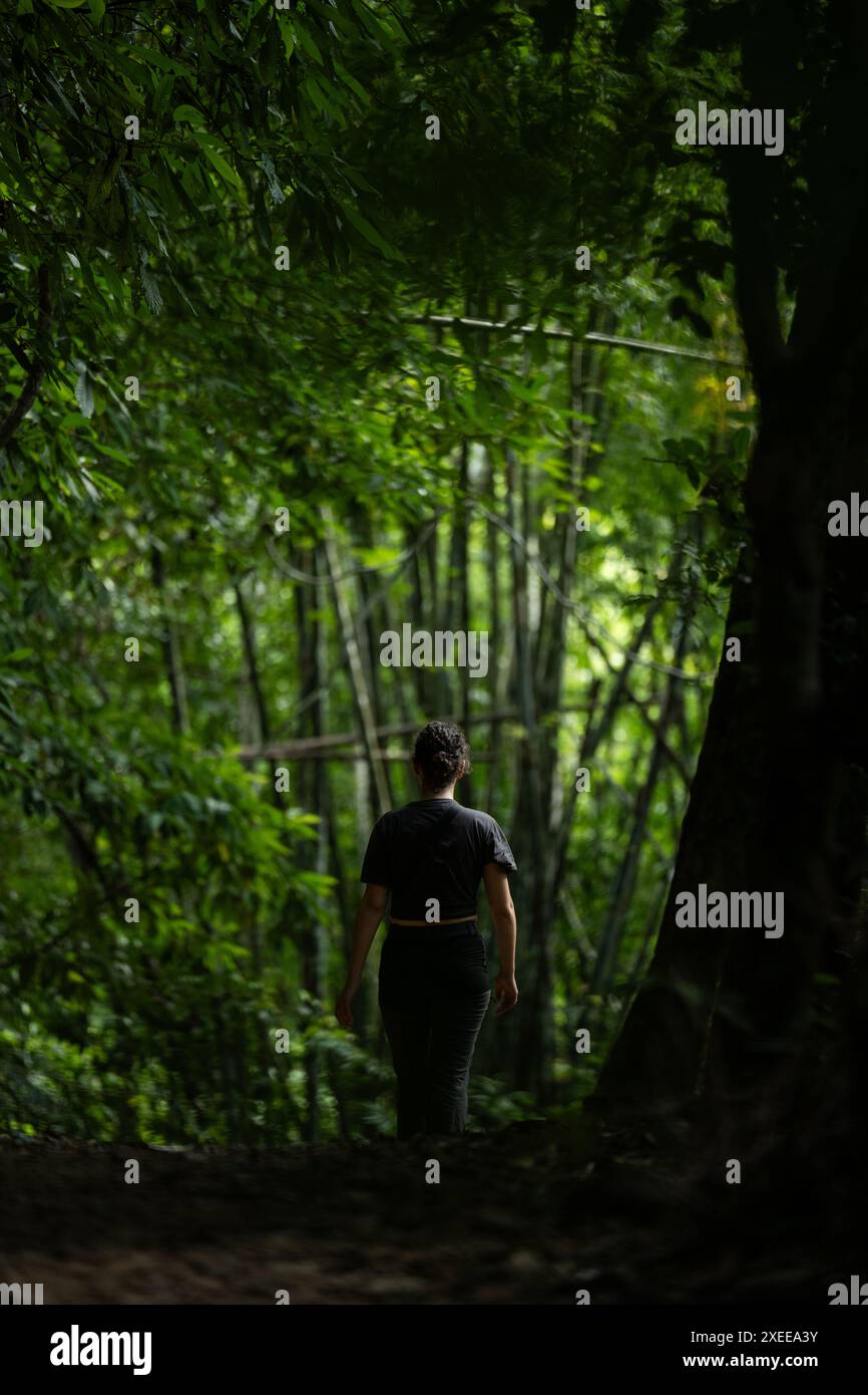 Stunning view of a girl walking in a beautiful rainforest. Khao Sok ...