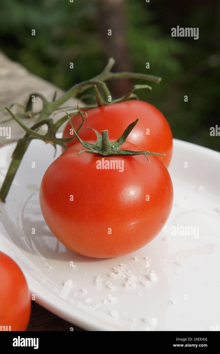 Solanum esculentum, tomato, with salt Stock Photo - Alamy