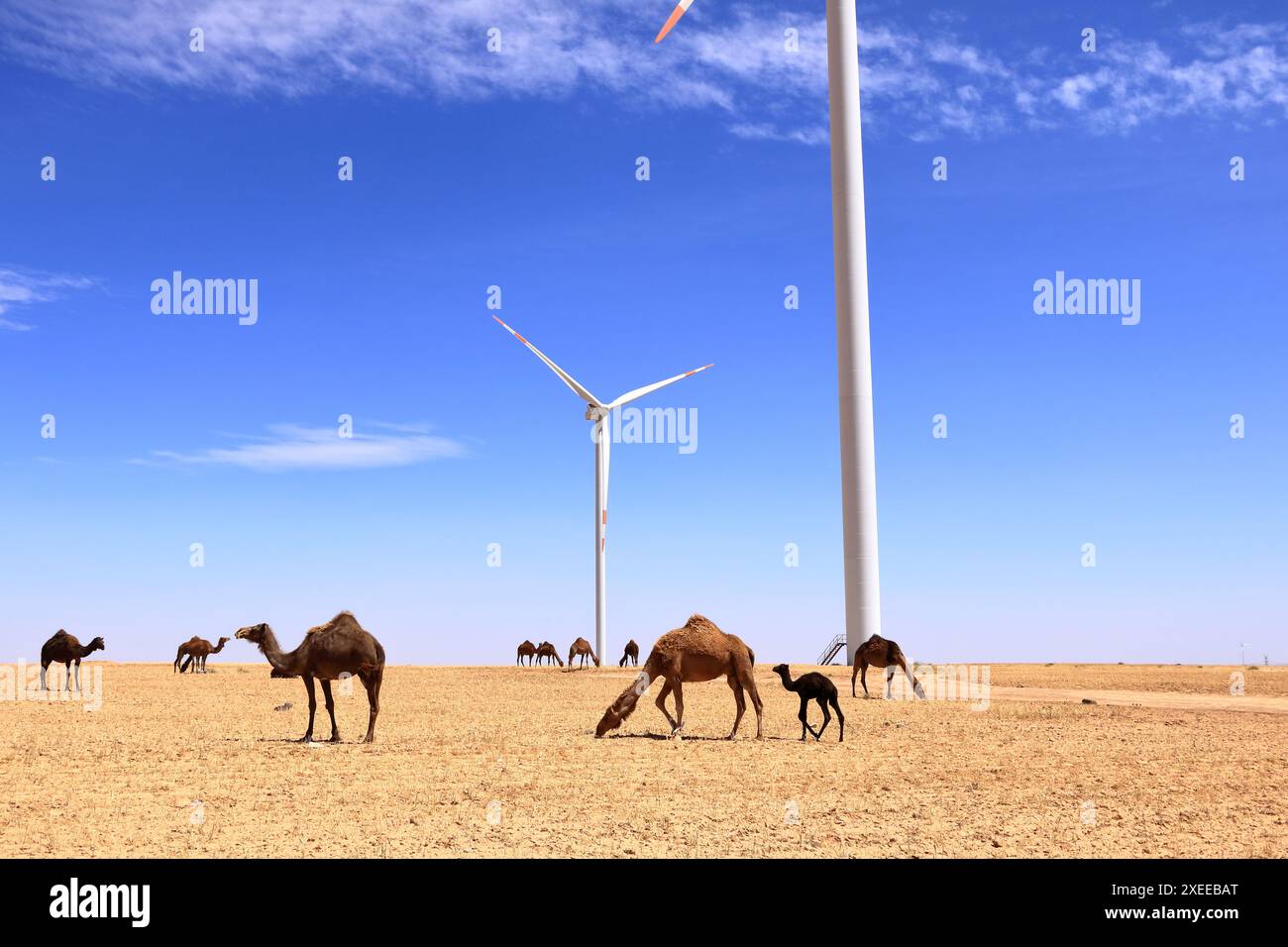 Wind farm jordan hi-res stock photography and images - Alamy