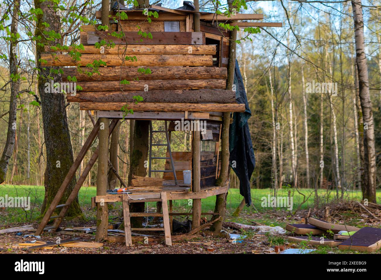 Old tree and house hi-res stock photography and images - Alamy