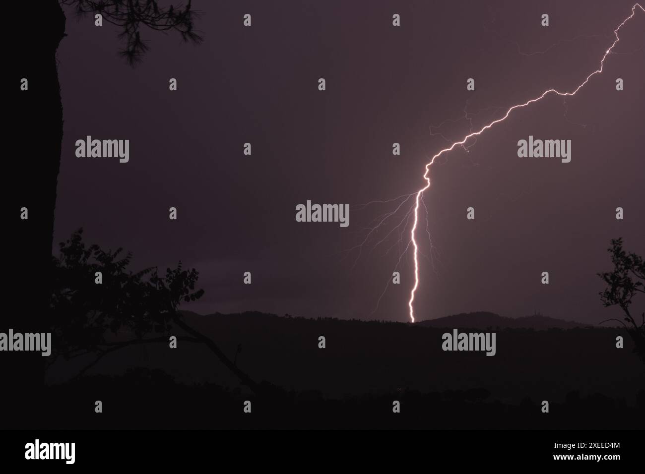 Stunning view of a lightning hit the ground during a thunderstorm in ...