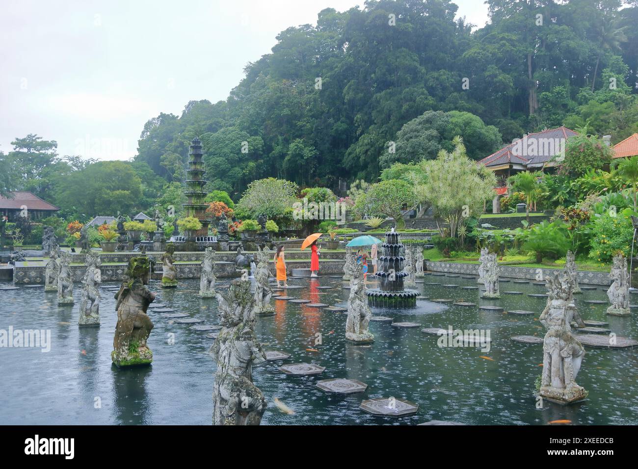Bali in Indonesia - February 05 2024: heavy rain during the rainy ...