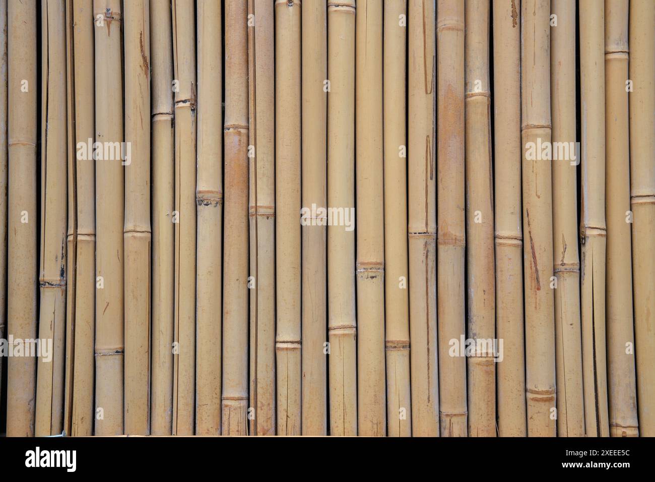 Zen inspired decor hi-res stock photography and images - Alamy