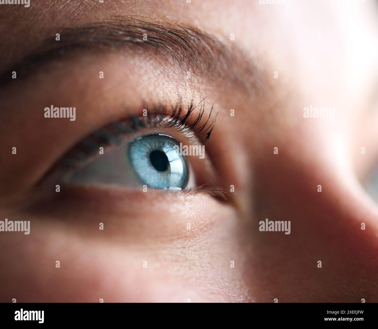 Macro Studio Expression Shot Of Woman's Eye With Close Up On Eyelashes ...
