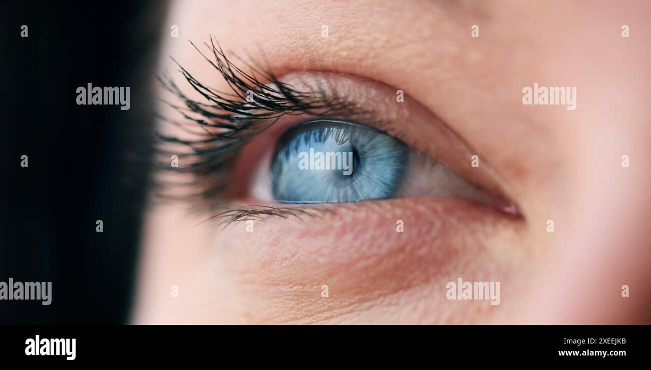 Macro Studio Expression Shot Of Woman's Eye With Close Up On Eyelashes ...