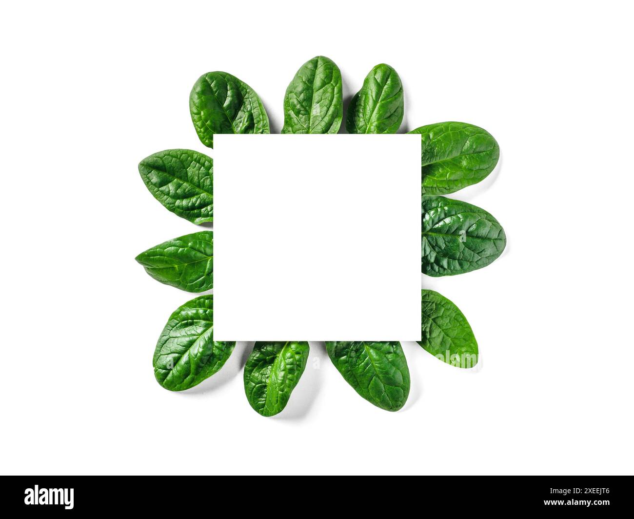 Aerial view on square Cut Out Stock Images & Pictures - Alamy