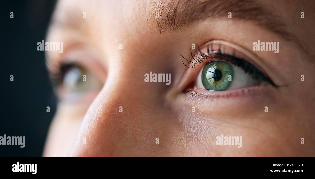 Macro Studio Expression Shot Of Woman's Eyes With Close Up On Eyelashes ...