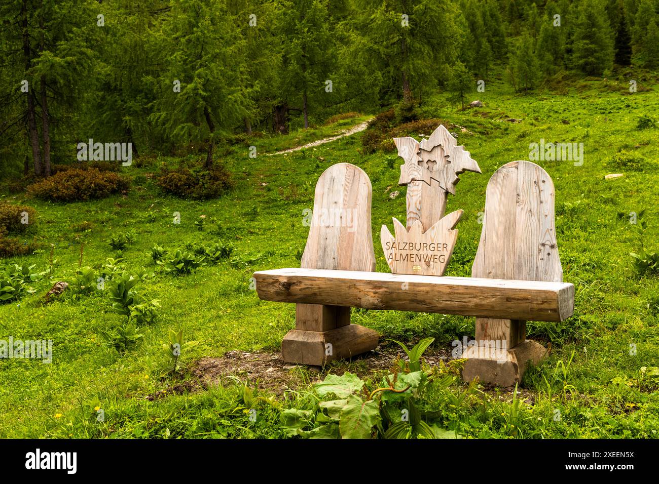 Wooden bench with carved gentian on the 350 kilometre long Salzburger ...
