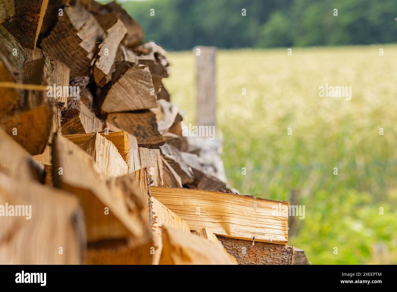 Fire fuel storage area hi-res stock photography and images - Alamy