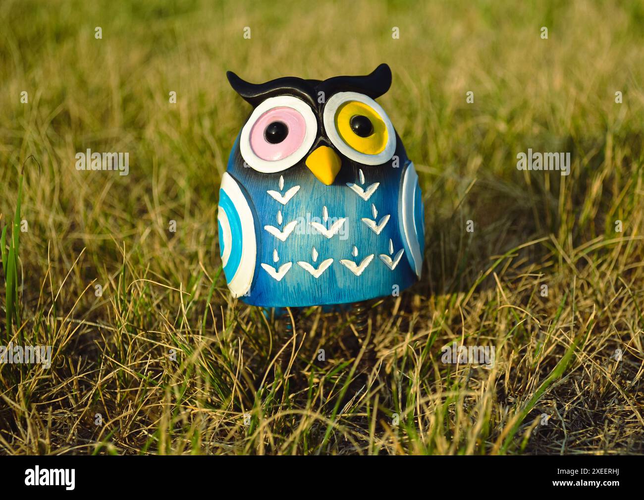 A toy of a surprised blue-colored owl with multi-colored eyes close-up ...
