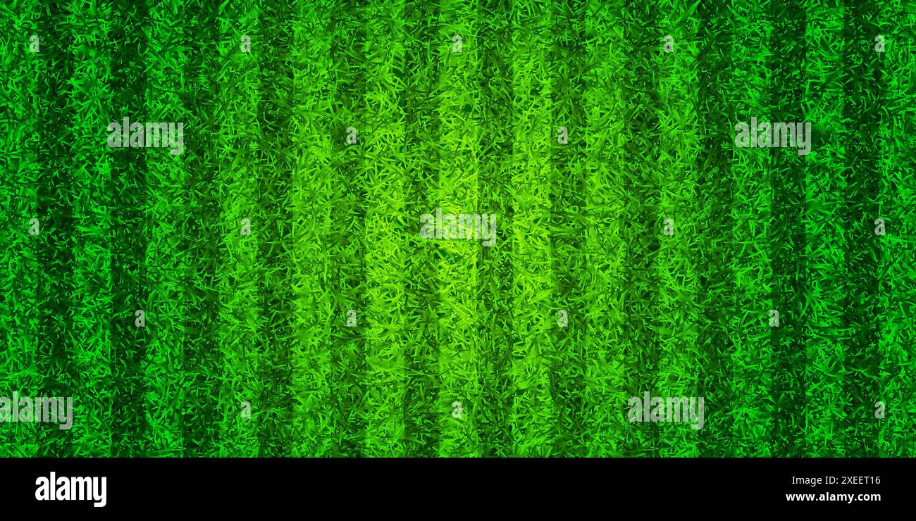 Soccer playing field with green grass. Football pitch background with ...