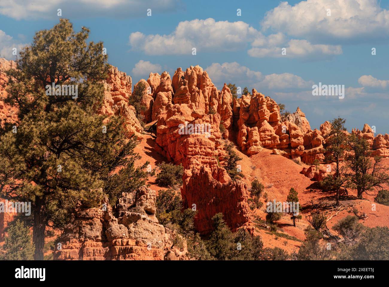 Garfield county utah hi-res stock photography and images - Alamy