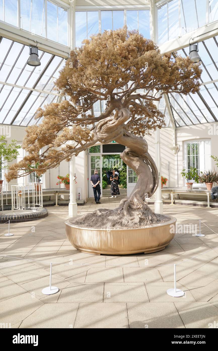 A bonsai sculpture by the artist Marc Quinn was shown to the Emperor ...