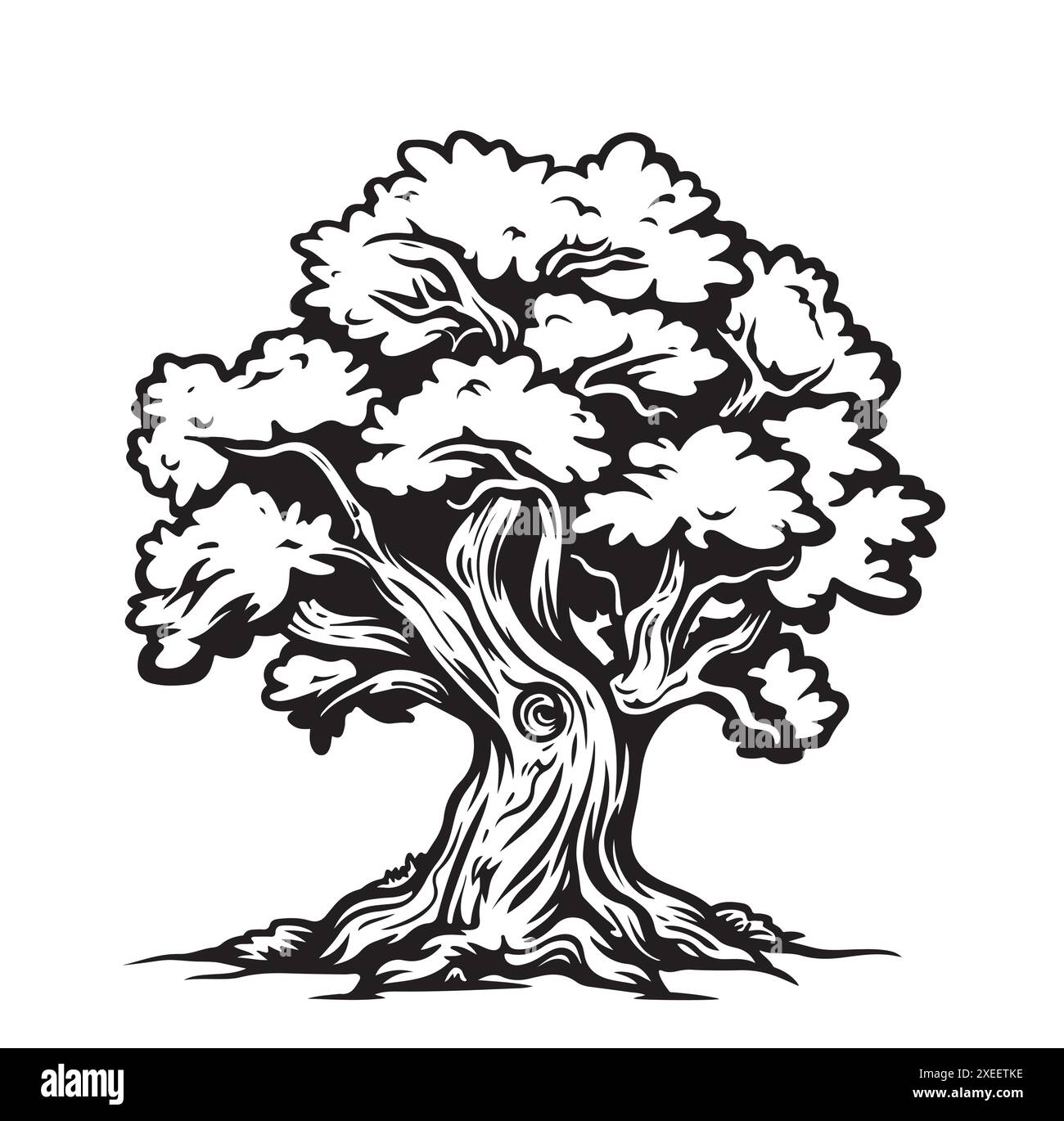 Oak tree ink sketch. Hand drawn vintage style illustration isolated on ...
