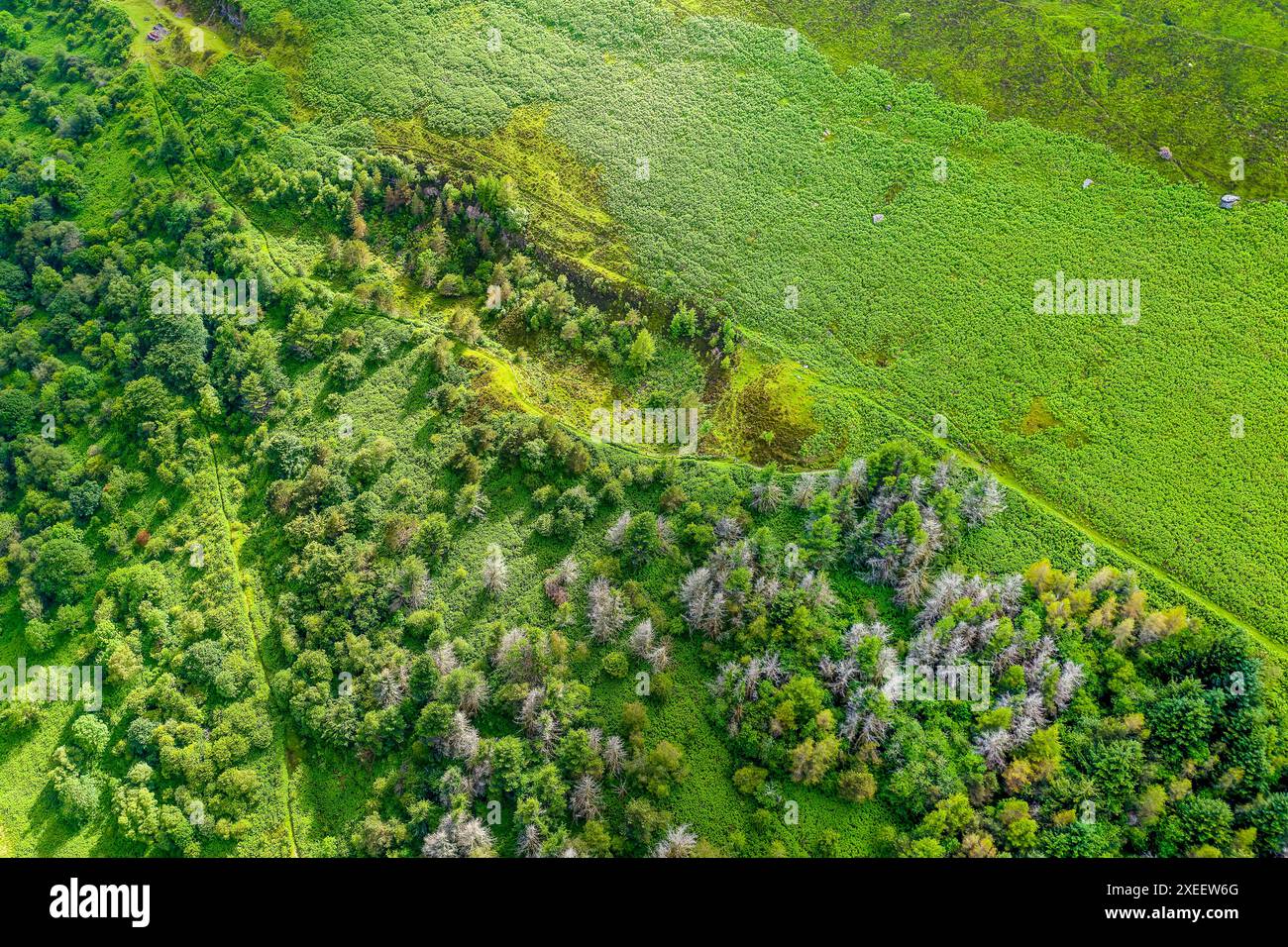 Aerial view countryside fields vertical hi-res stock photography and ...