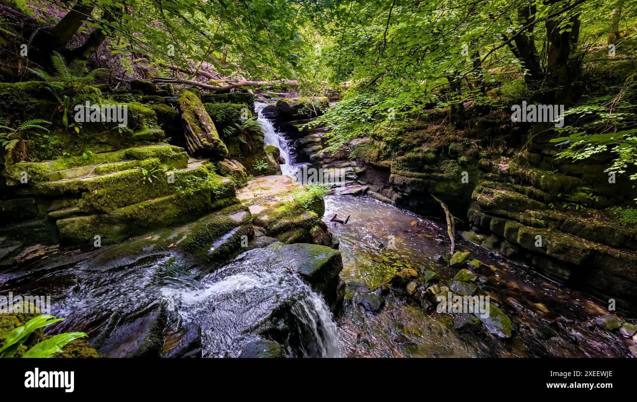 Small waterfalls in beautiful woodland Stock Photo - Alamy