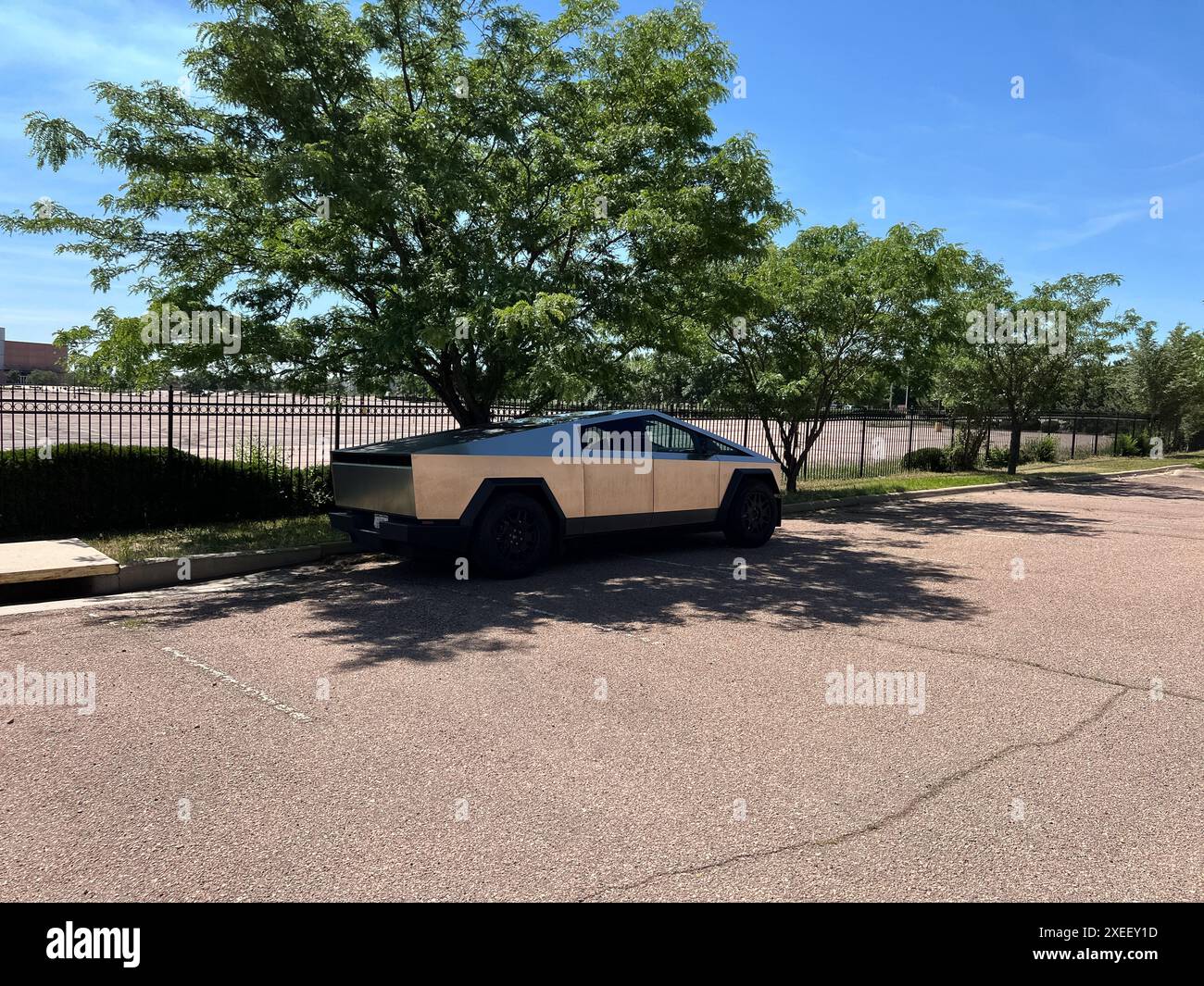 Tesla Cybertruck Parked Under Trees on a Sunny Day Stock Photo - Alamy