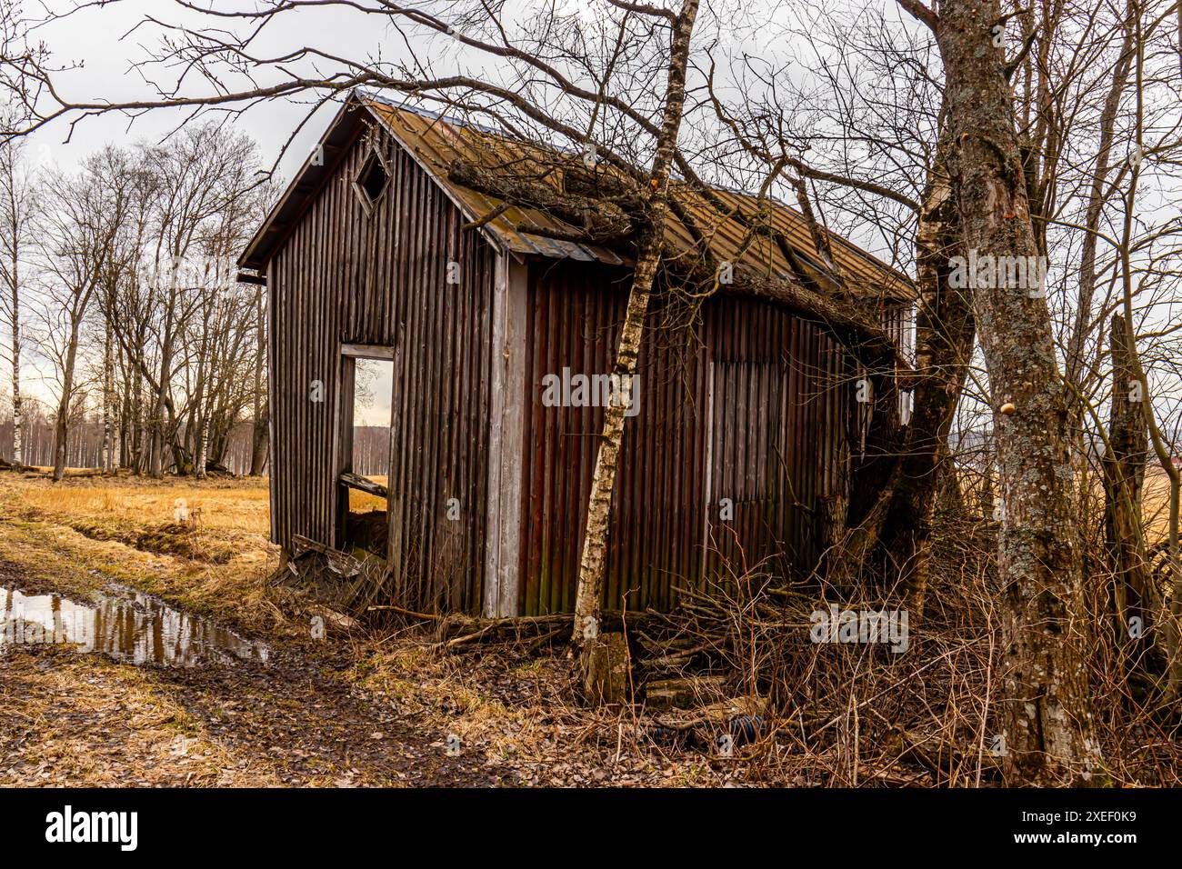 the old cottage Stock Photo - Alamy