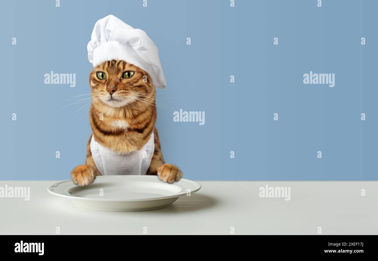 Cat table plate hi-res stock photography and images - Alamy