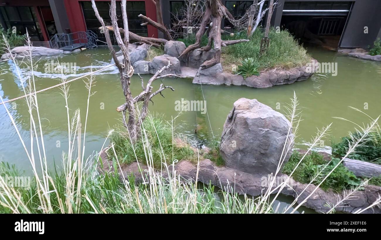 Detailed View of the Hippo Exhibit at a Zoo with Naturalistic Habitat ...
