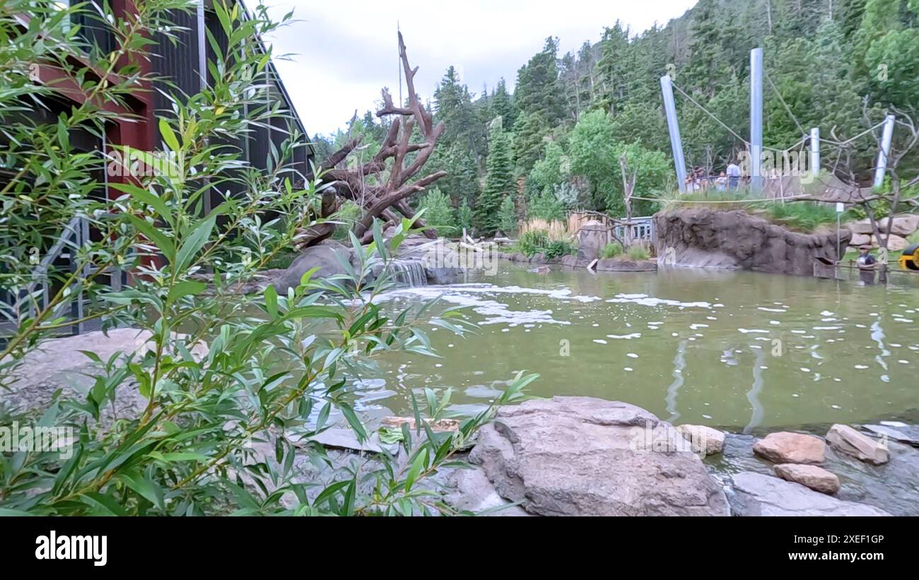 Zoo enclosure habitat design hi-res stock photography and images - Alamy
