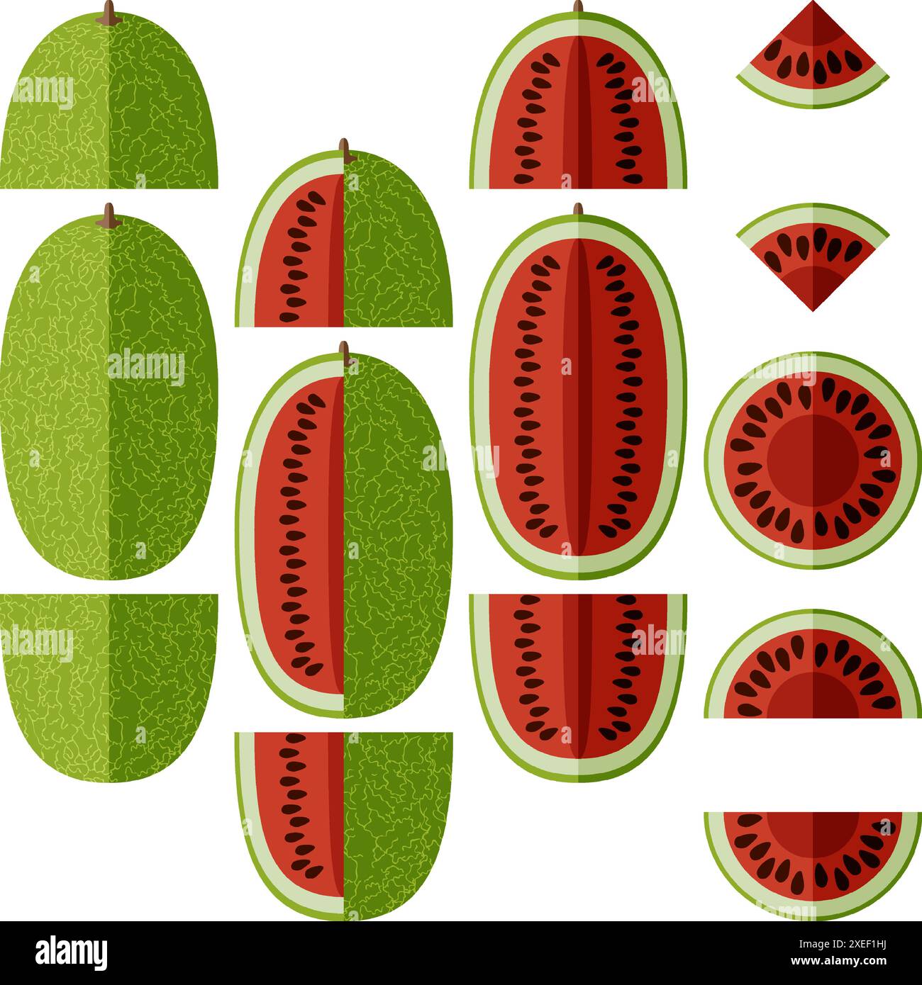 Set of Ali Baba Watermelon. Citrullus lanatus. Fruits and vegetables ...