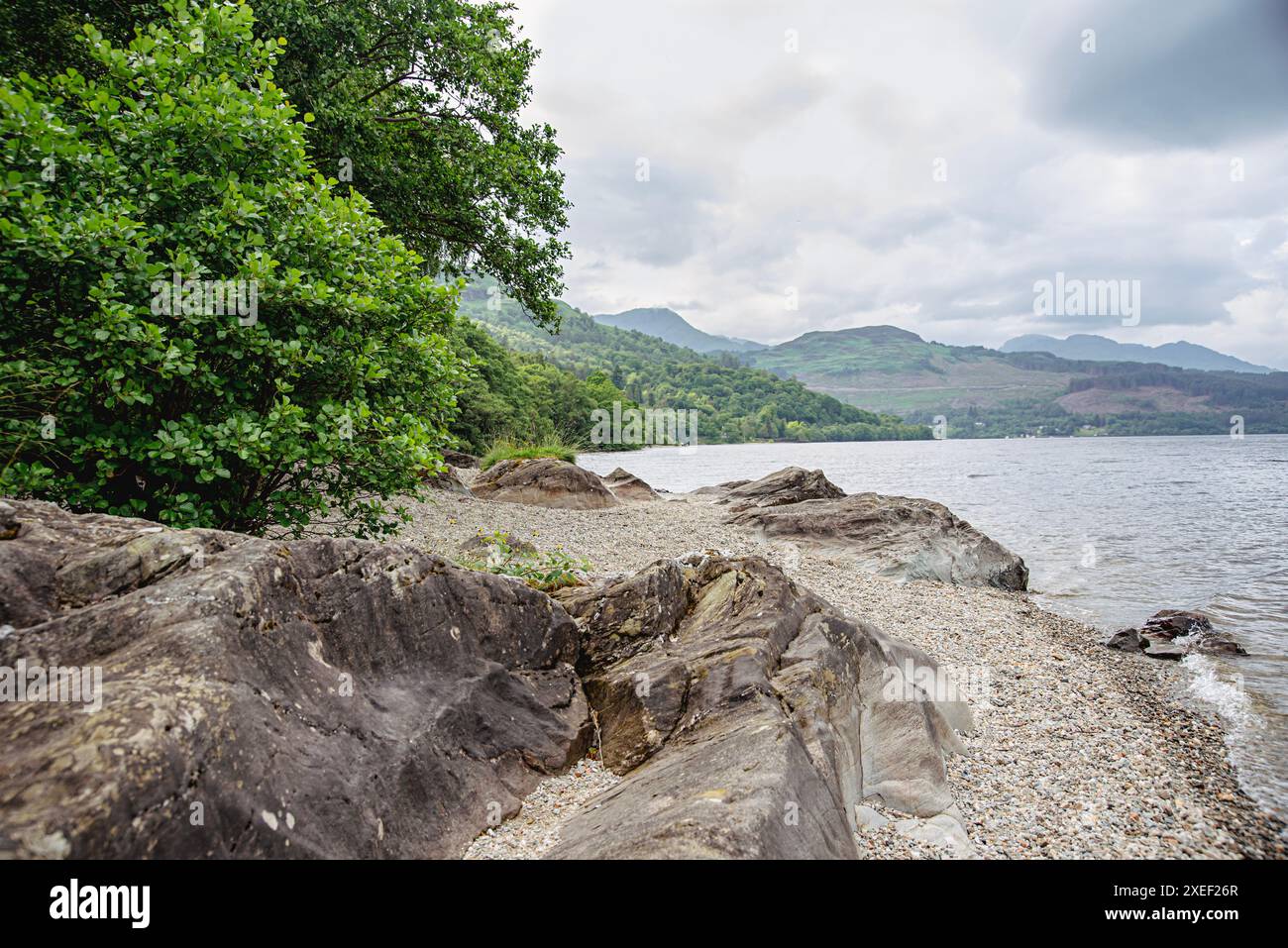 Landscape photography of lake shore, tree, boulder; rock, stone; rocky ...